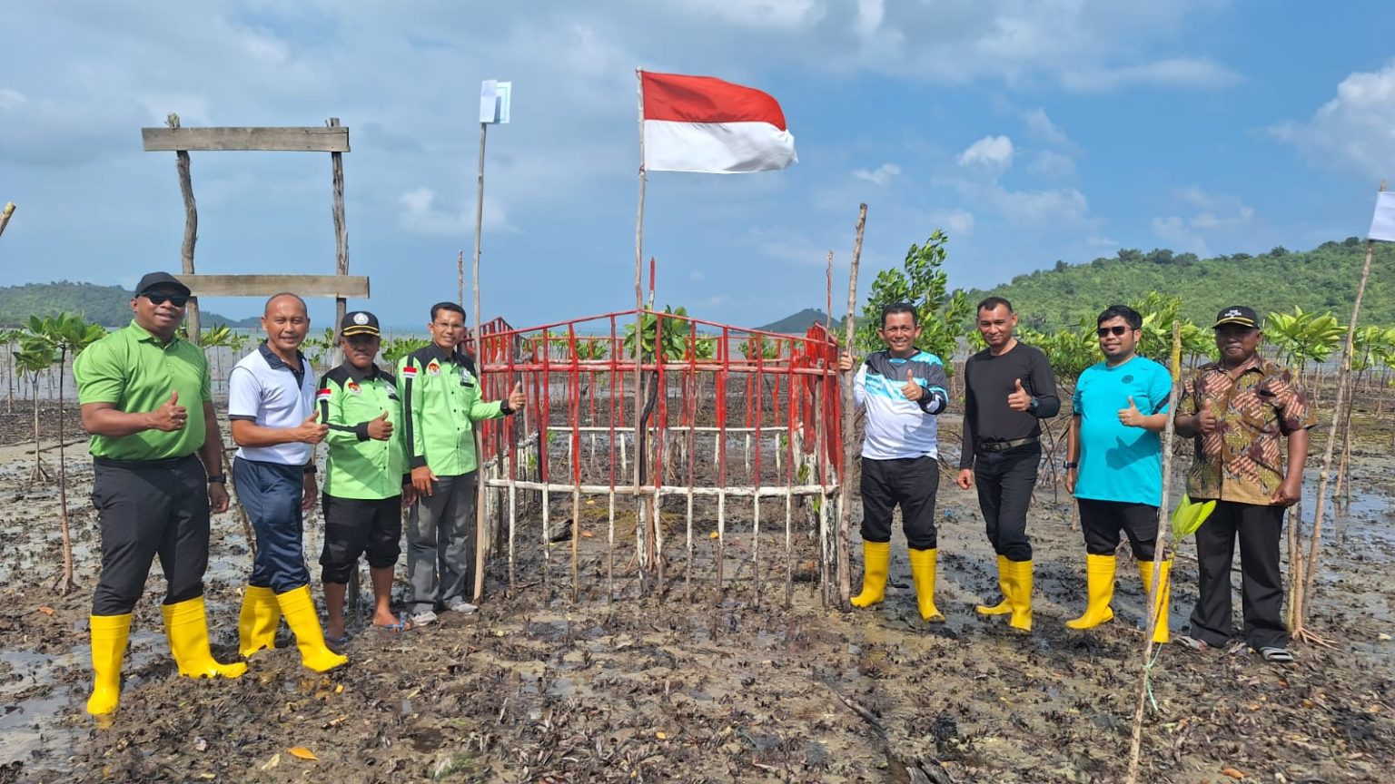 Gubernur Ansar Menanam Mangrove di Kawasan Mangrove Presiden Bersama ...